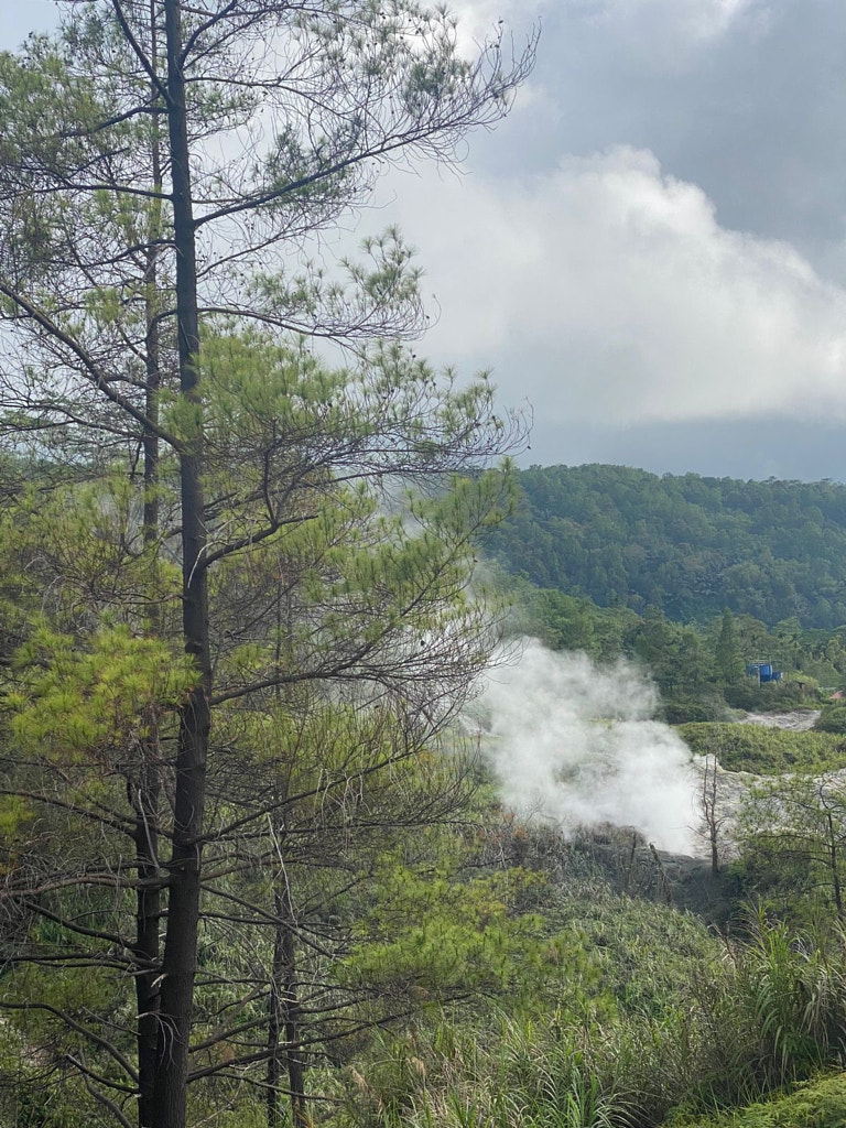 Sulfur Pine Forest by Oktavianus Lintong / 500px