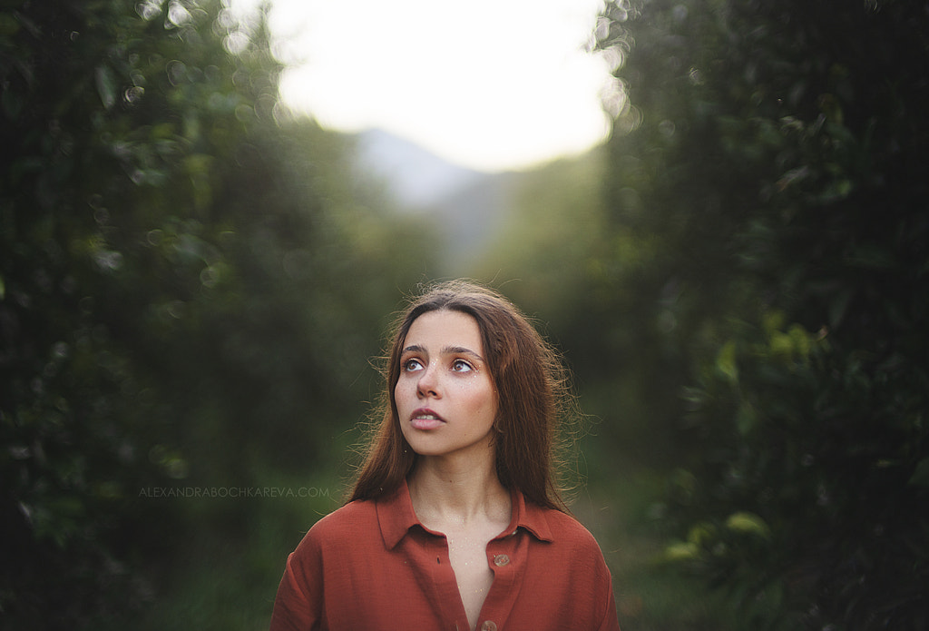 Tangerines by Alexandra Bochkareva / 500px