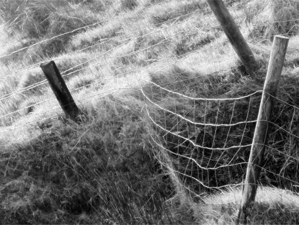 Barbed wire by George Meharg / 500px