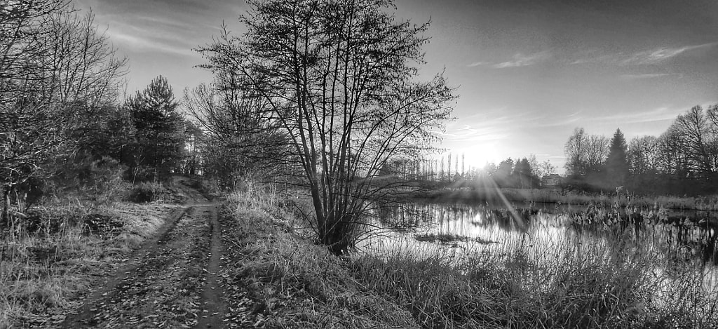 Walking down the lakeside path towards the sunset by Michael Bilyk / 500px