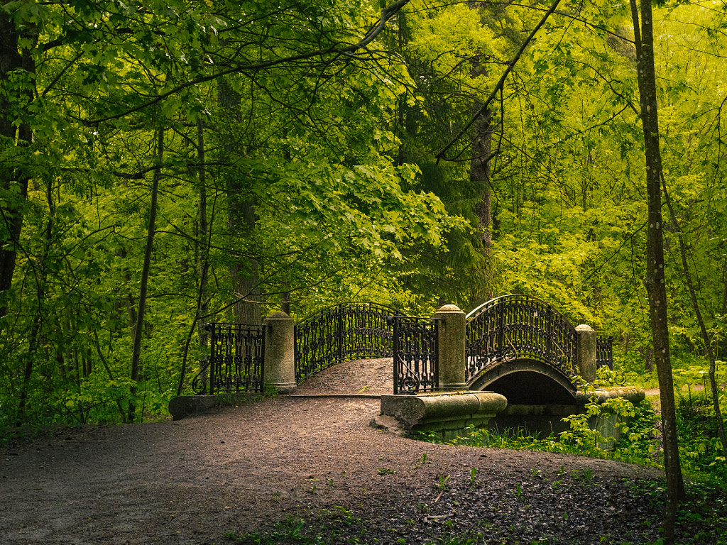 Summer by Yaroslav / 500px