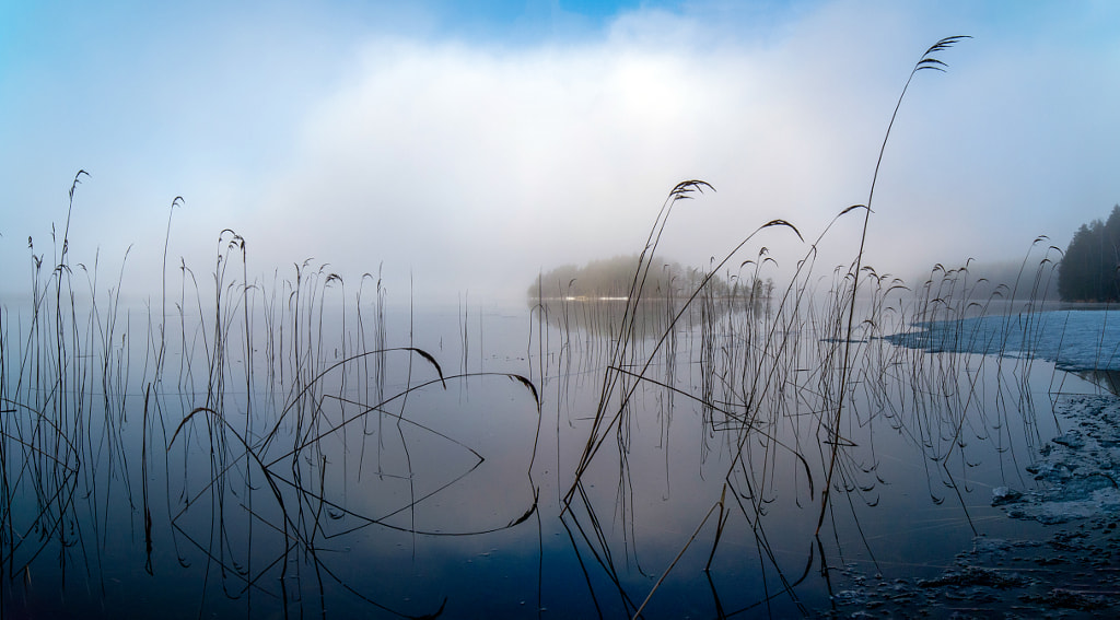 Misty spring day by Kari Siren / 500px