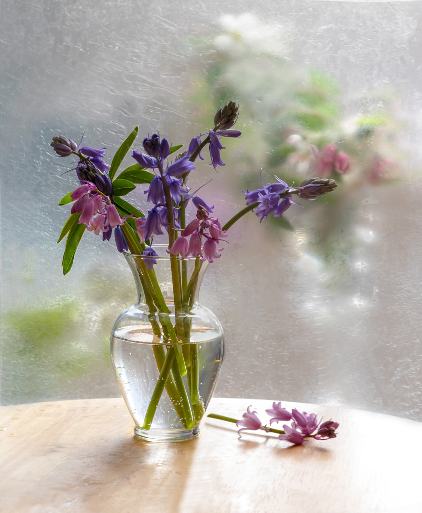 Spring joys by Antonina Yanovska / 500px