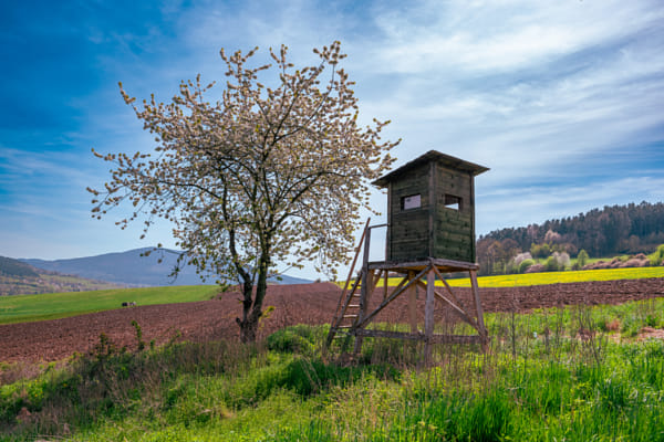 Martin Lach (lmar456) Profile / 500px