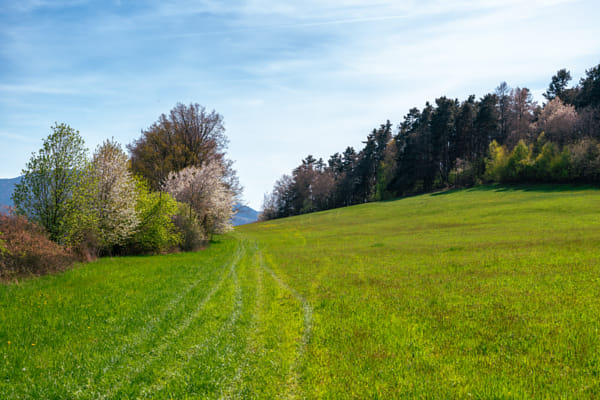 Martin Lach (lmar456) Profile / 500px