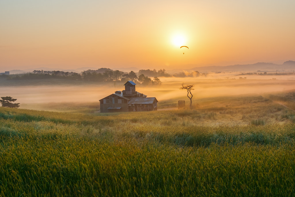 Dawn of the Green Ranch by Sung Hwan Lee / 500px