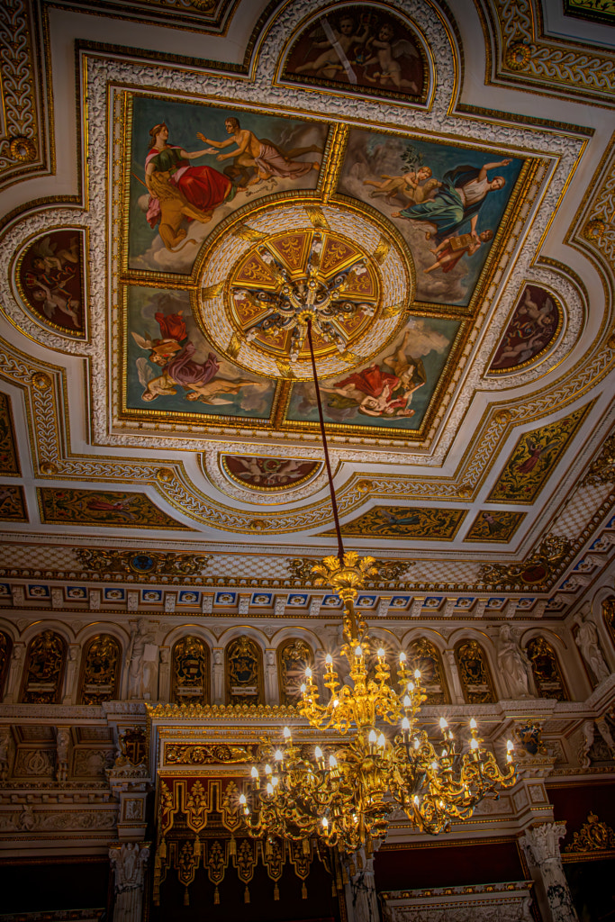 Kingly colors. by Mario Soenen / 500px