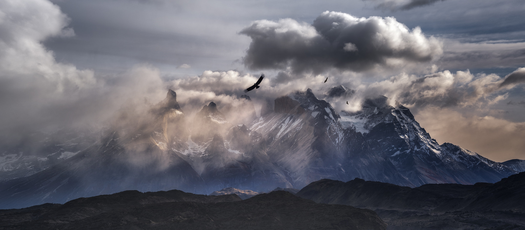 Condor Dance by Timothy Poulton / 500px