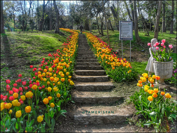 Emirgan Korusu, İstanbul by Tamer Istan / 500px