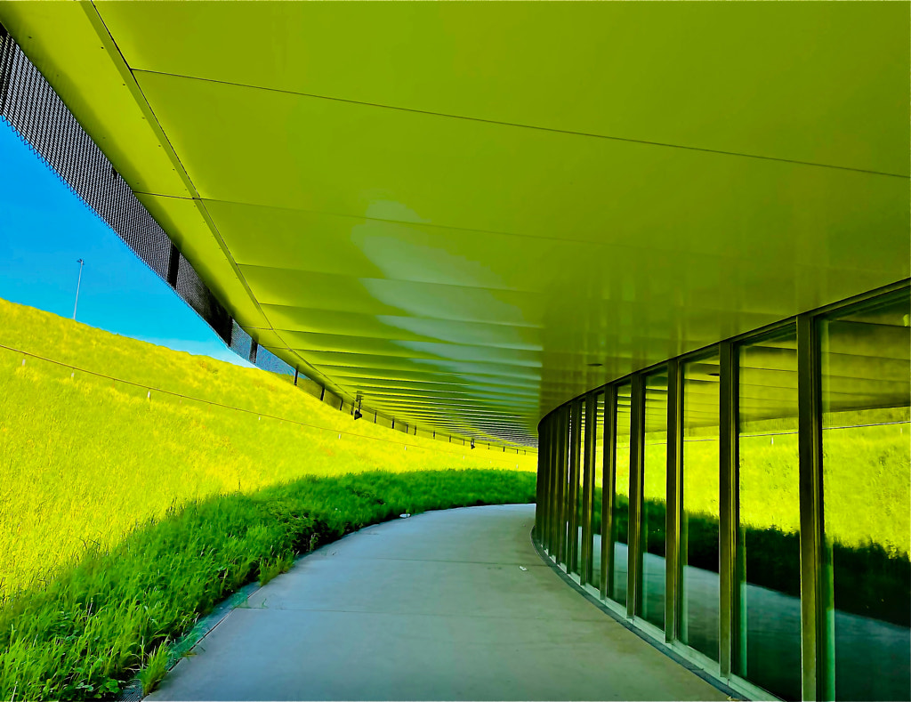 Green Reflection by Matthias Kanisch / 500px