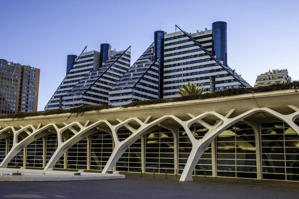 IMG_9925- by Mark Strain / 500px