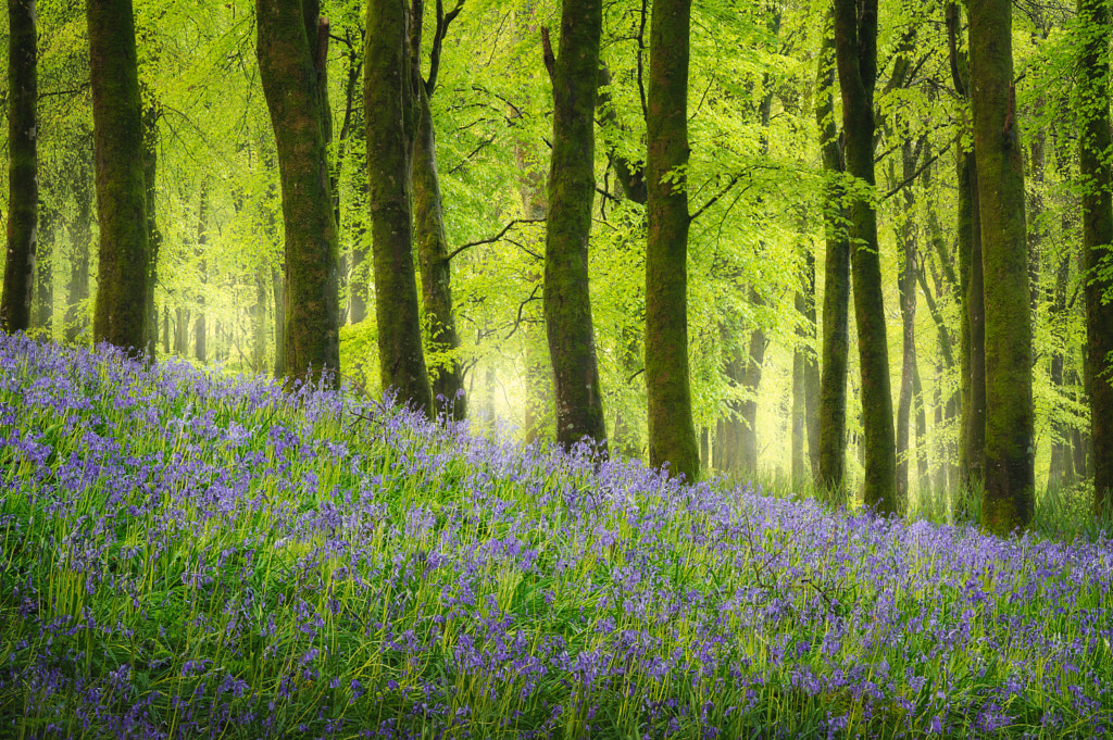 Waves of spring by Darryn Kemper / 500px