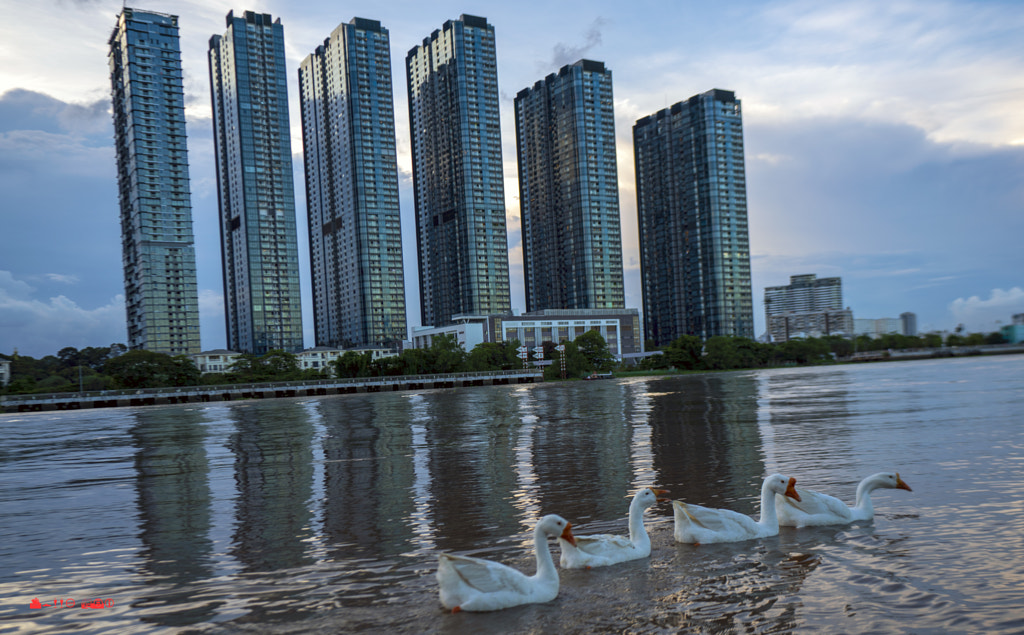 DSC00067 by Tùng thanh Bùi / 500px