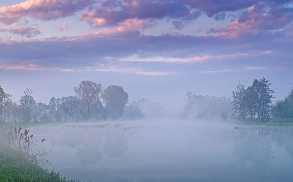 Foggy morning by Barbara G / 500px