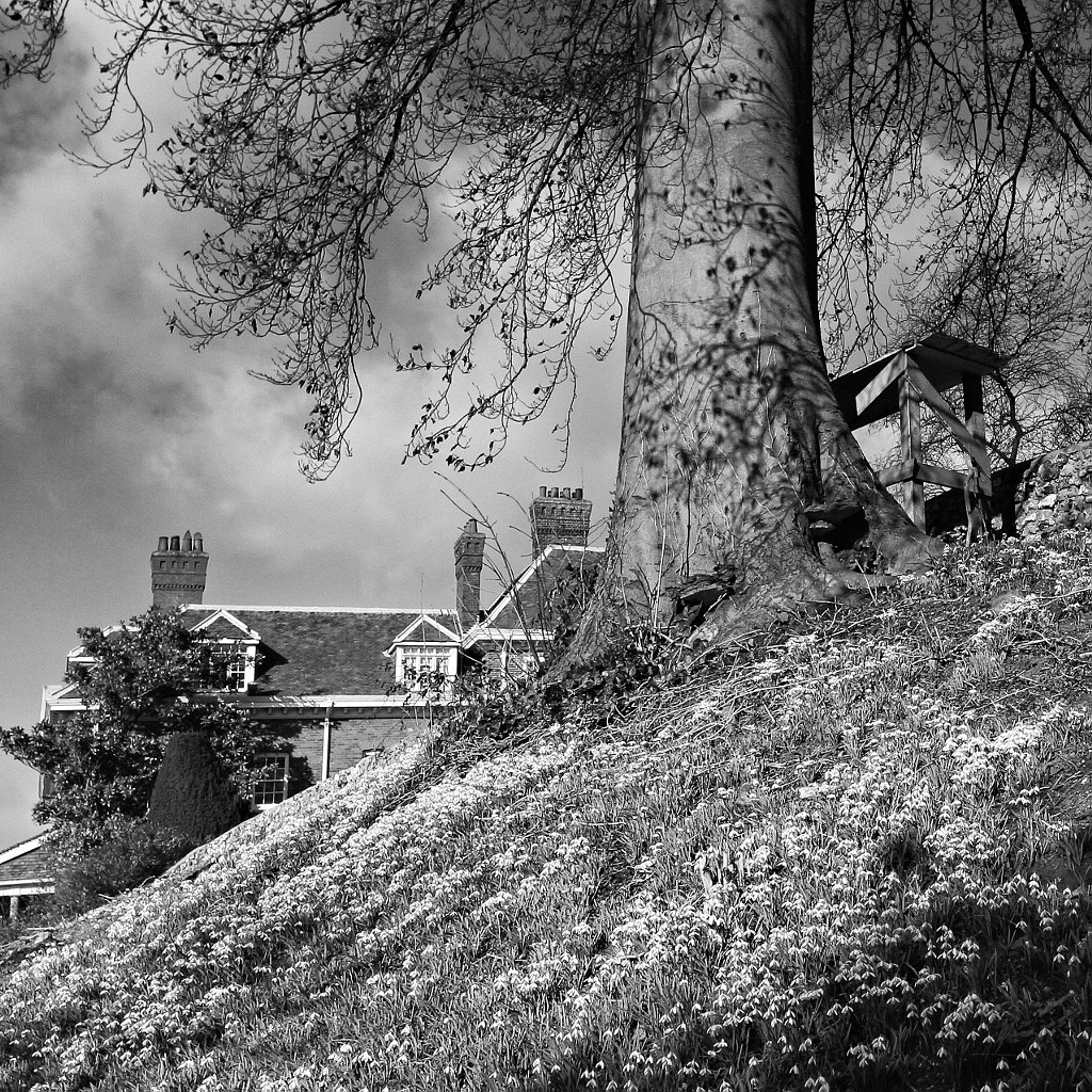 No. 37 by Jay Hunter / 500px