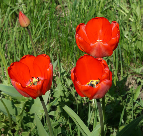 Aleksei Volkov (alevole) Profile / 500px