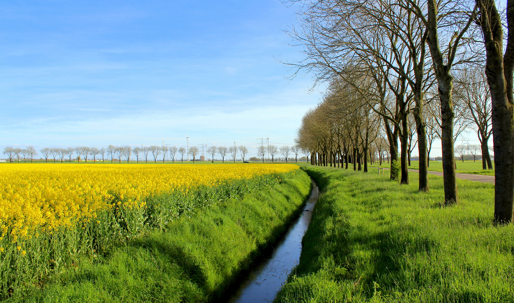 Spring in the countryside by Oomke Wiltjer / 500px