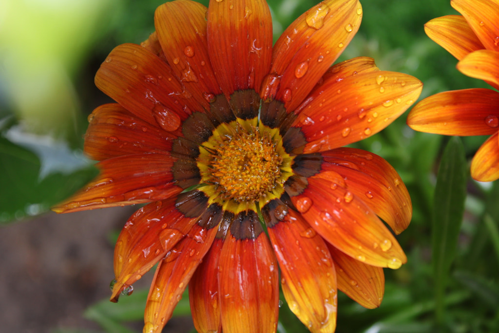 natural live by Power Eng / 500px