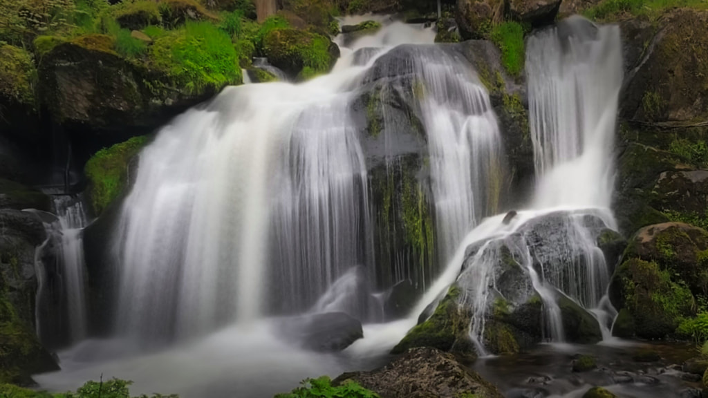 Capturing the essence of nature by Andy Leong / 500px