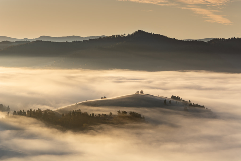 Morning view by Marcin Sz / 500px