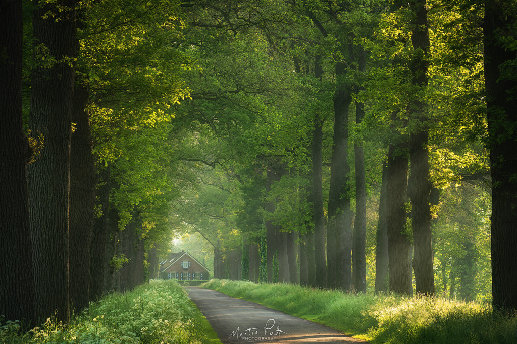 A fresh start by Martin Podt / 500px