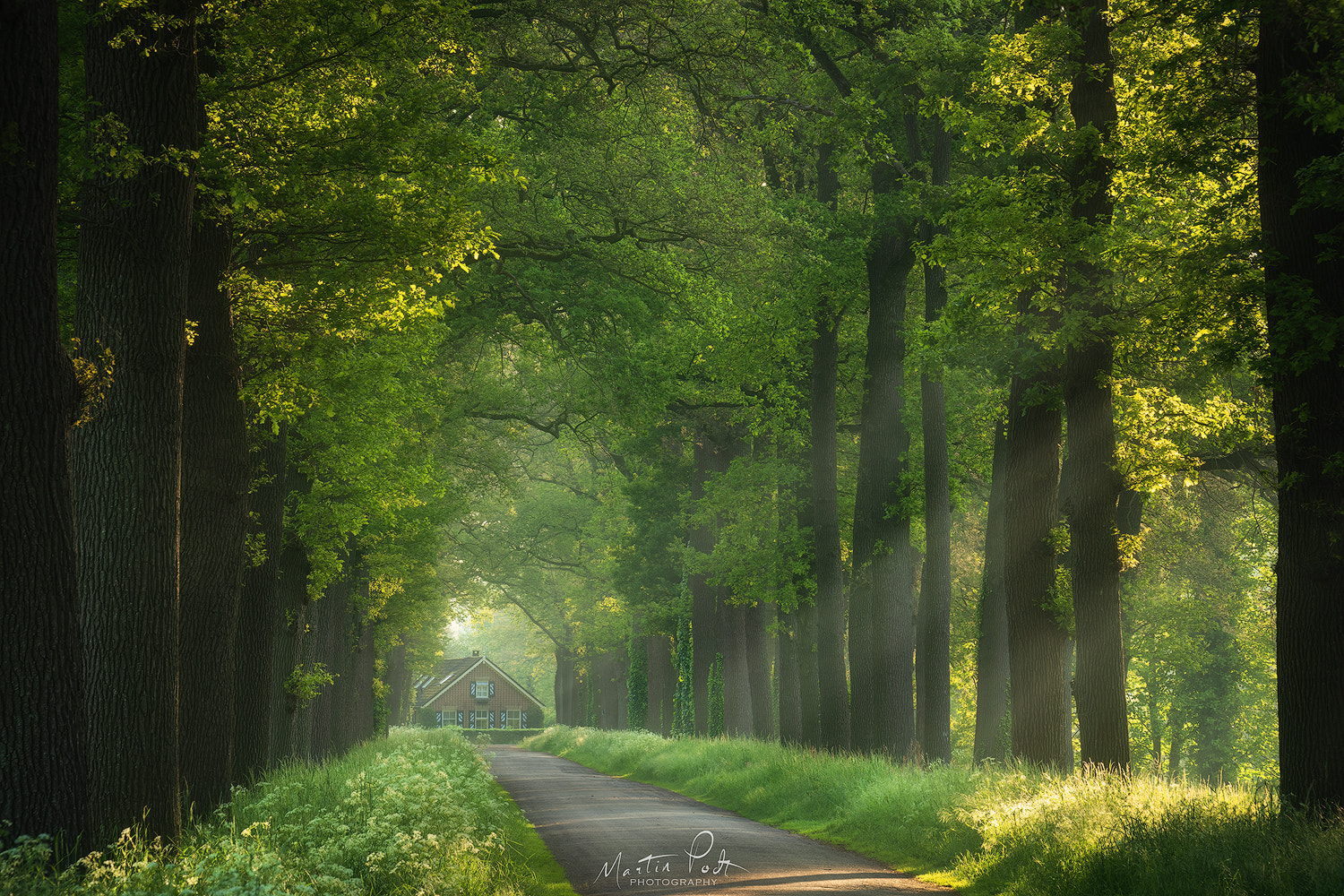 A fresh start by Martin Podt / 500px
