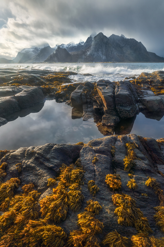 Vareid, Lofoten Islands, Norway by Som Roy / 500px