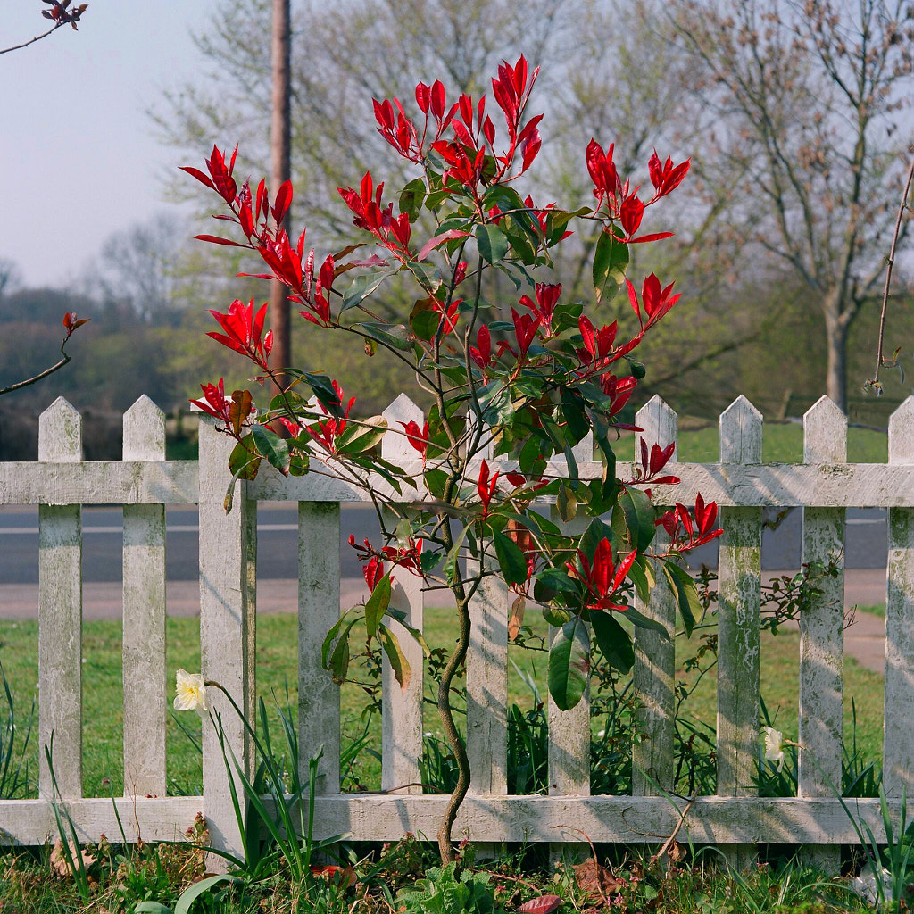 50 by Jay Hunter / 500px