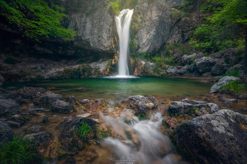Green of Spring by Thrasivoulos Panou / 500px