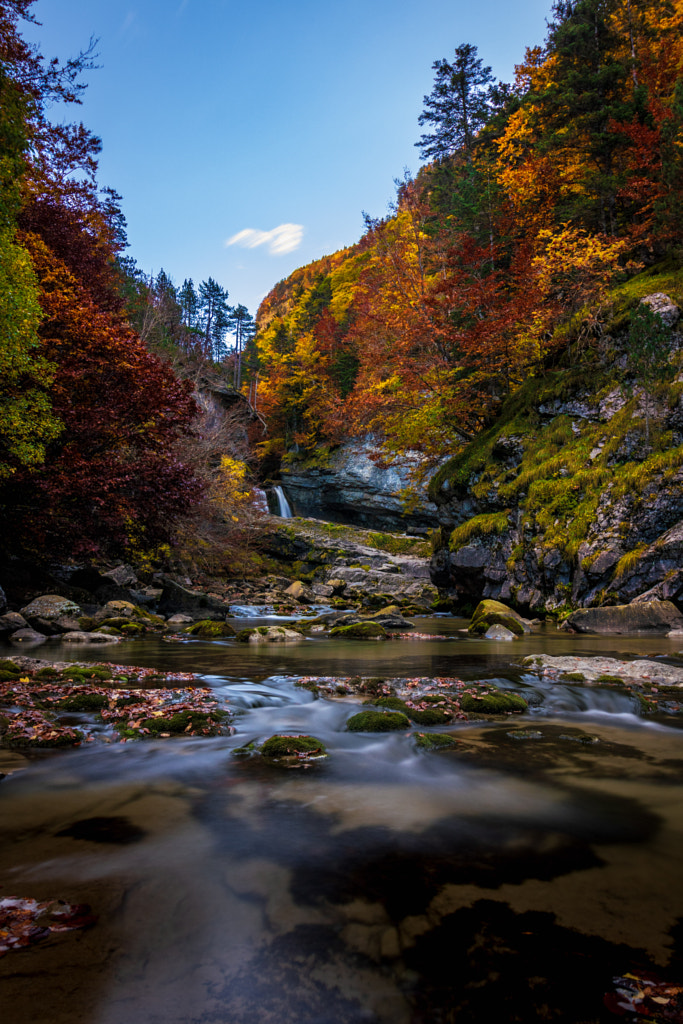 Autumn colors by Juanjo Rueda / 500px