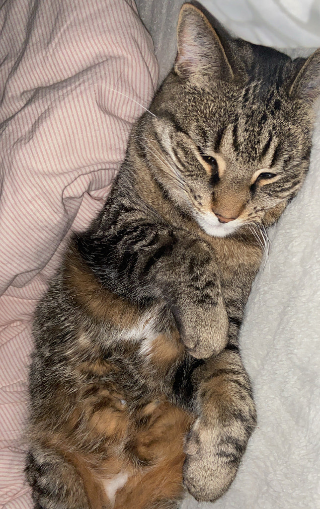 Emotion by Jordan Moreau / 500px