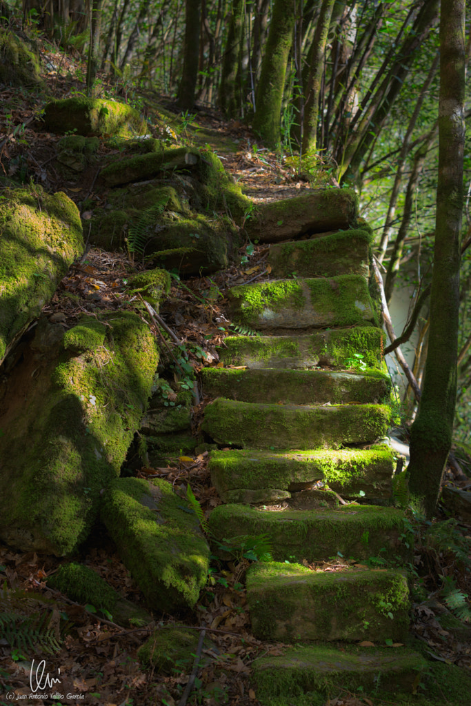 Mystic ancient path by Juan Antonio Valiño García / 500px
