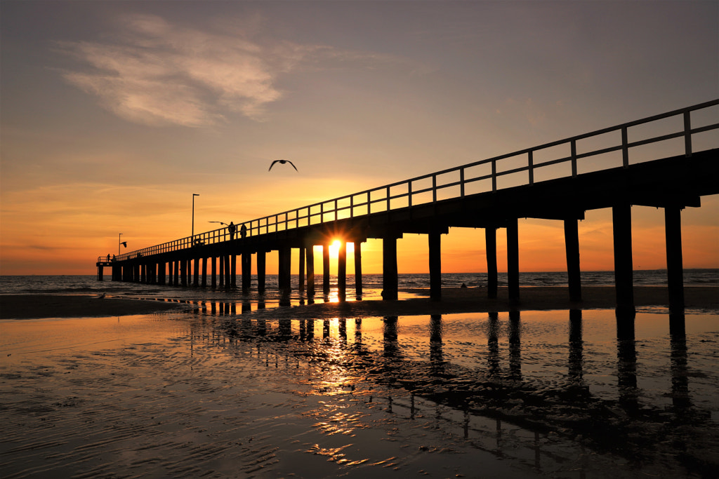 Evening Seduction! by Bruce Prothero / 500px