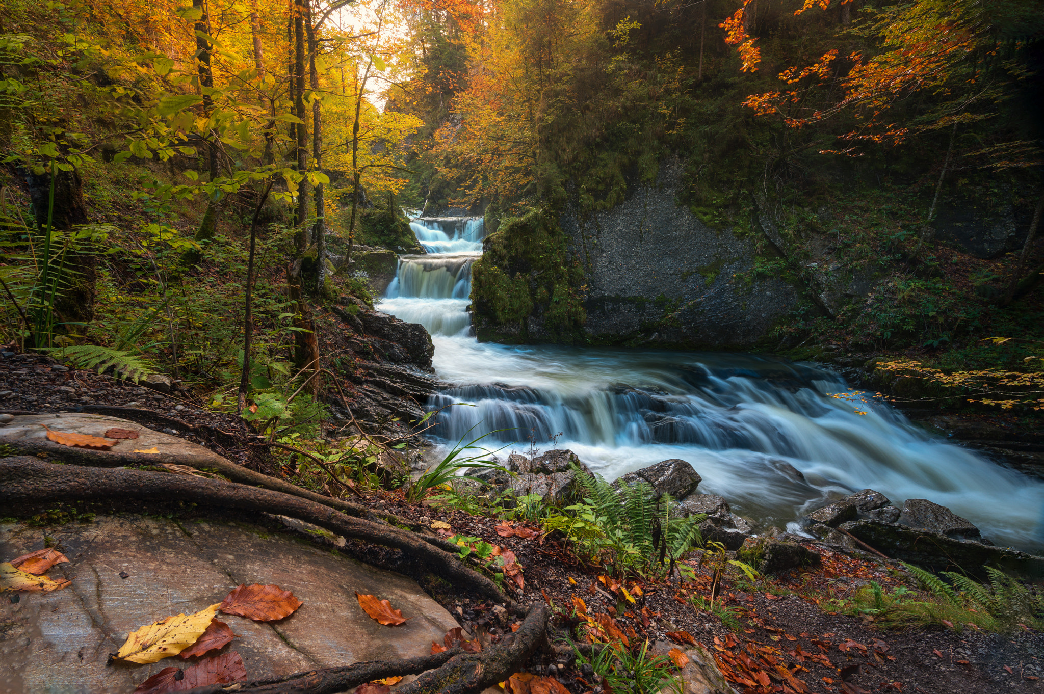 Colors of Autumn by Michael Bottari / 500px