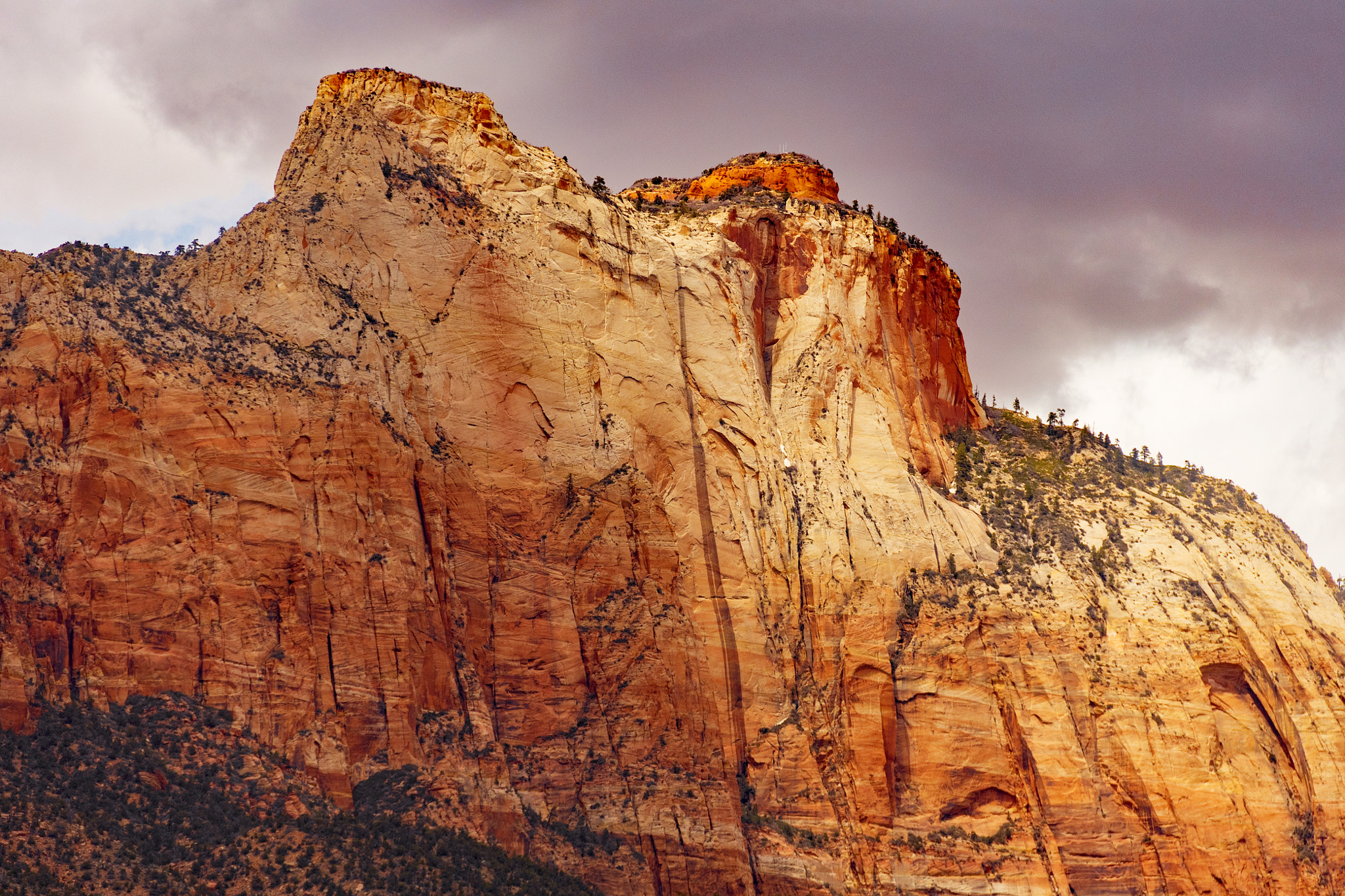 Zion Cliff Face by Scott Mumford / 500px