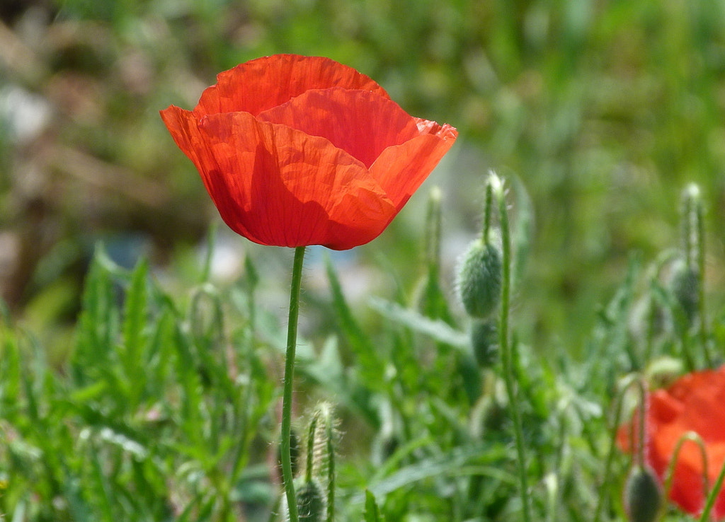 For pleasure by Ellen M / 500px