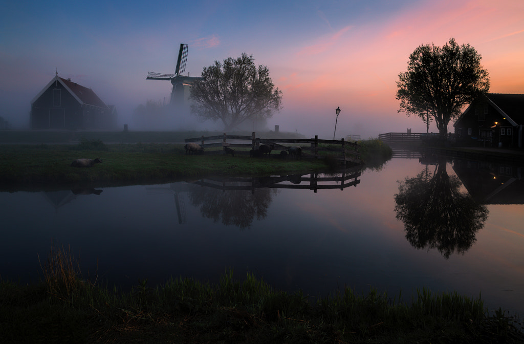 Foggy morning by Genady Gershgorn / 500px