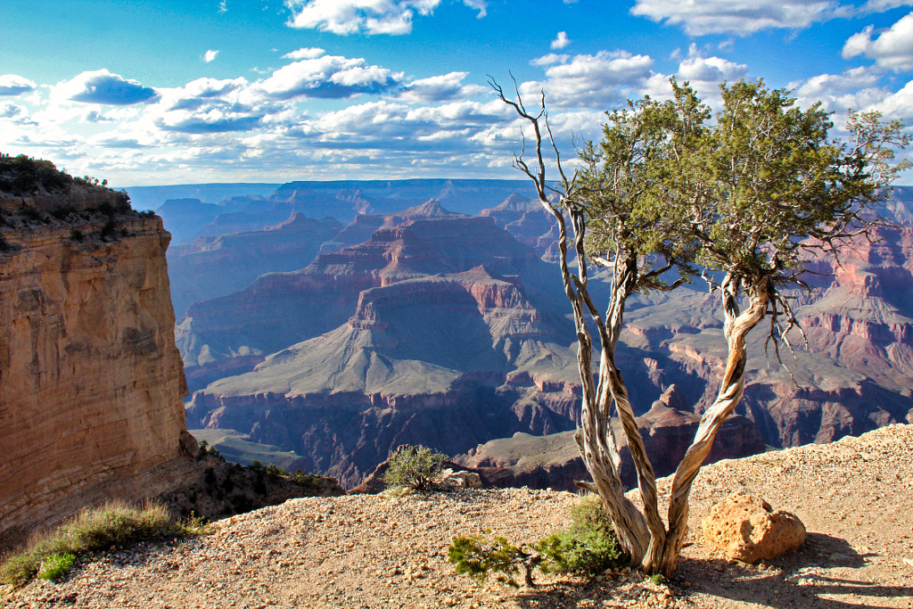 Bright Angel Trailhead by Carl Main / 500px