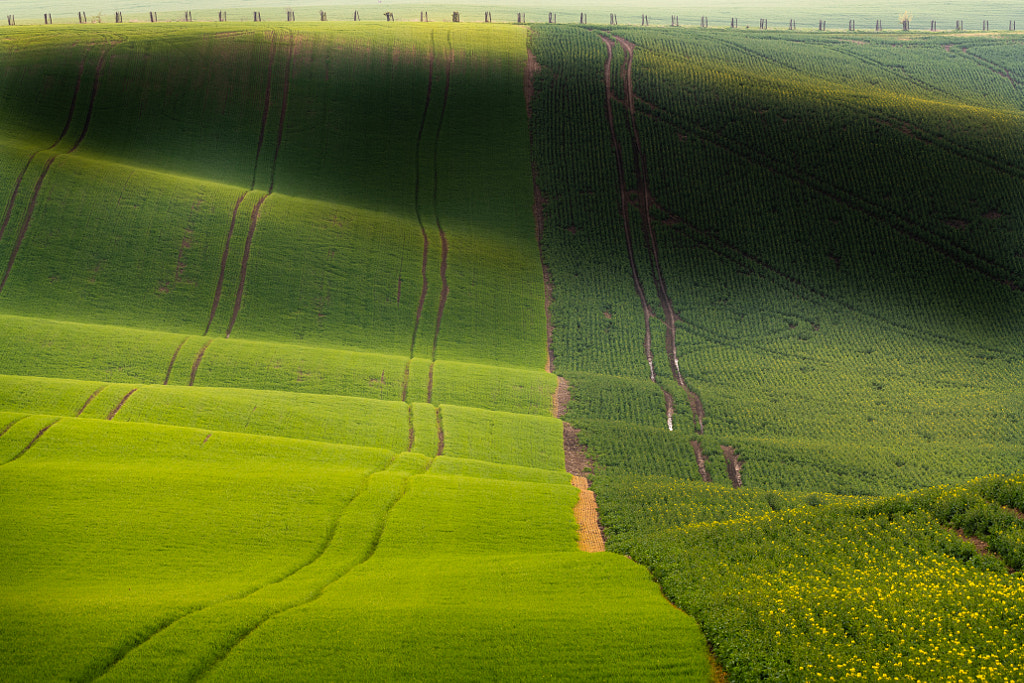 Wavy field by Igor / 500px