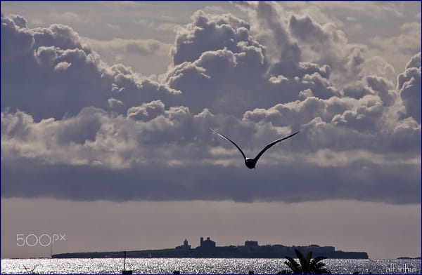 Let there be by Daniel Bear | 500px