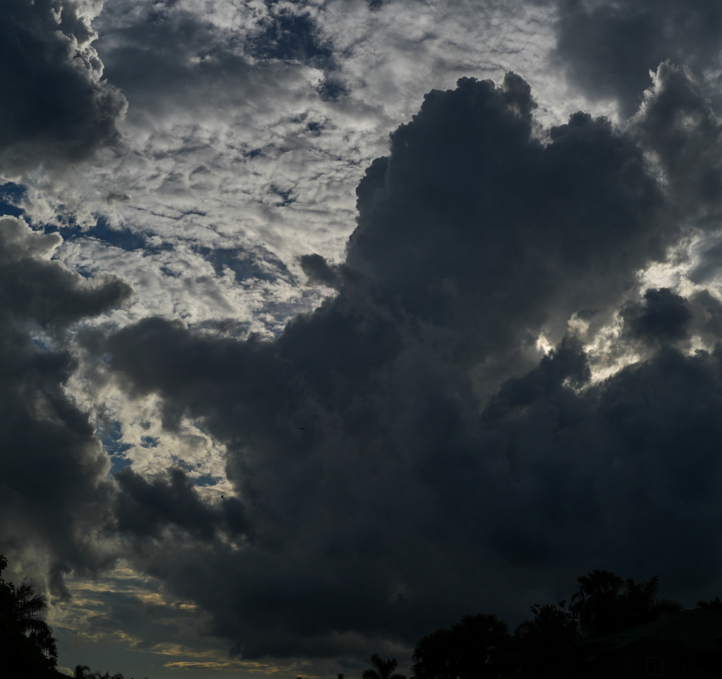 A certain menace. by James Janner / 500px