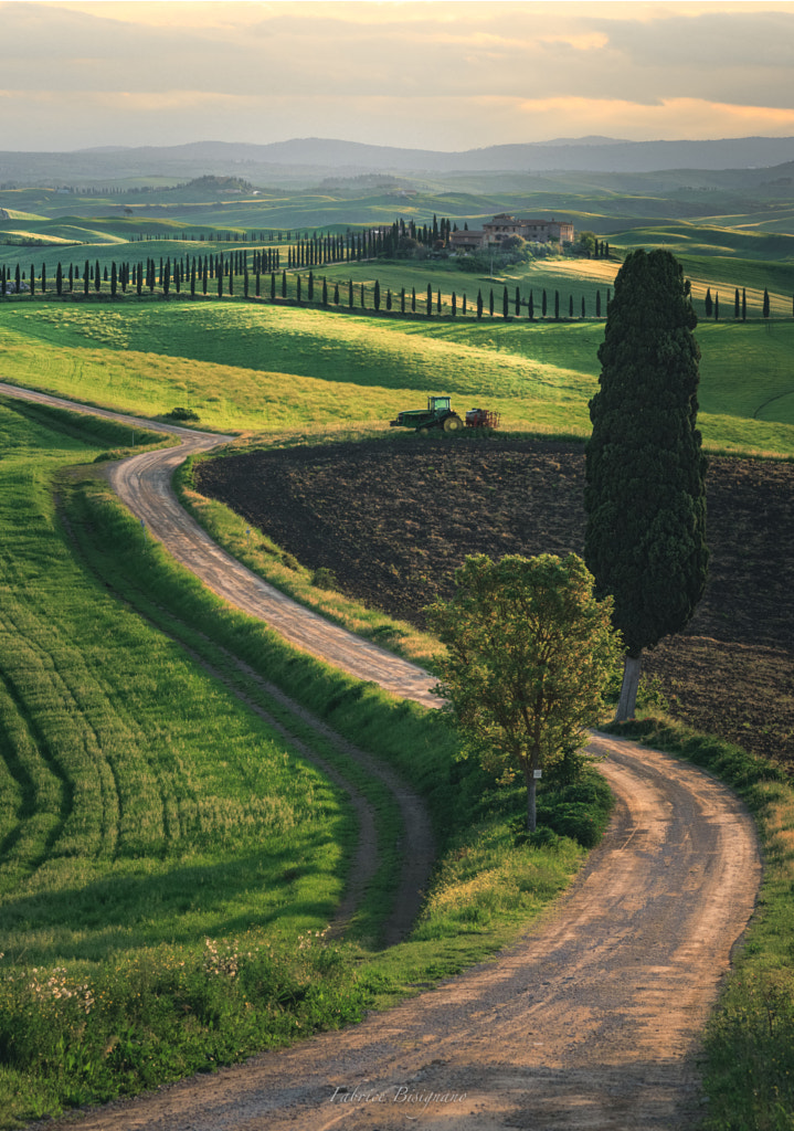 Toscana by Fabrice Bisignano / 500px