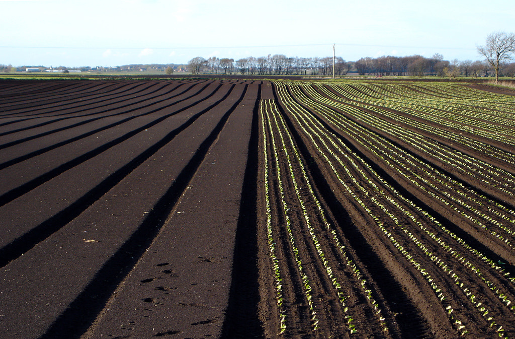 Half Sown! 3214 by Priit Einbaum / 500px