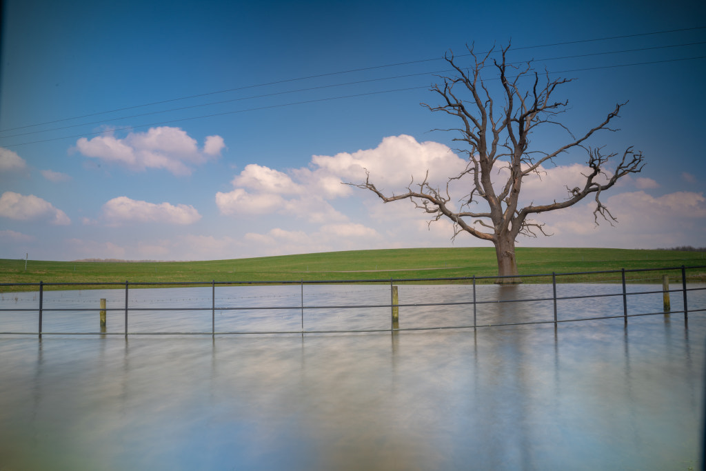 lone tree by Ben Smith Photography / 500px