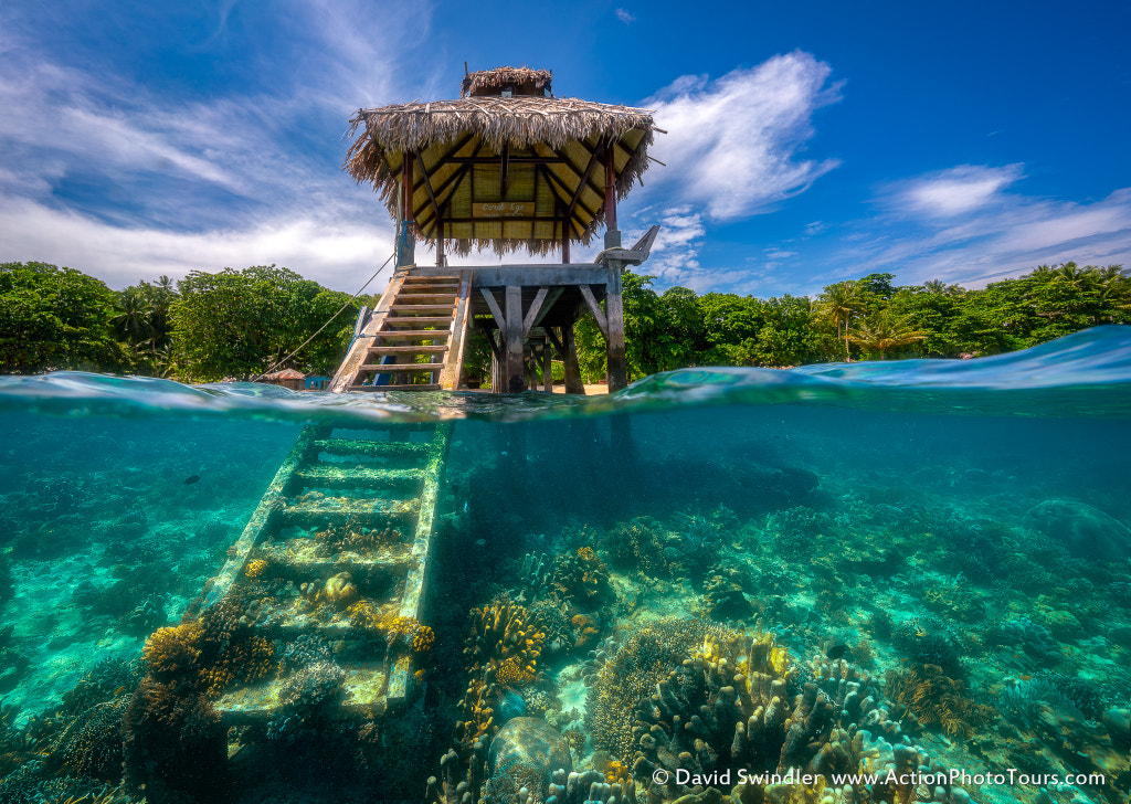 Paradise by David Swindler / 500px