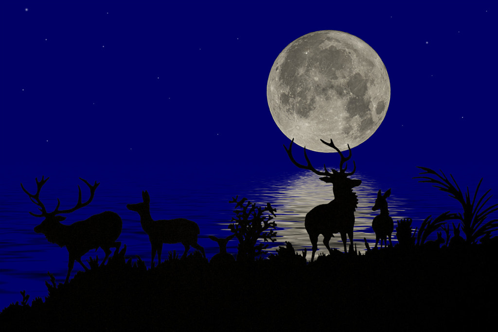 July Super Buck Moon by Ed Hewitt / 500px