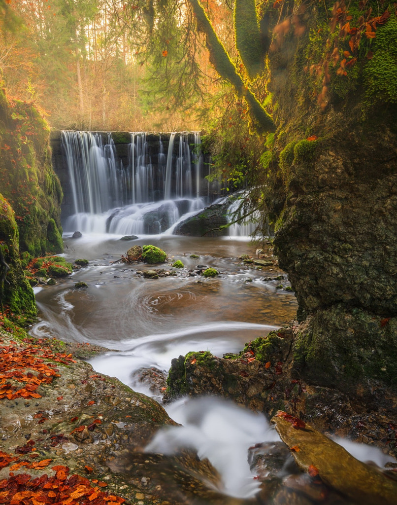 Feenland by Michael Bottari / 500px