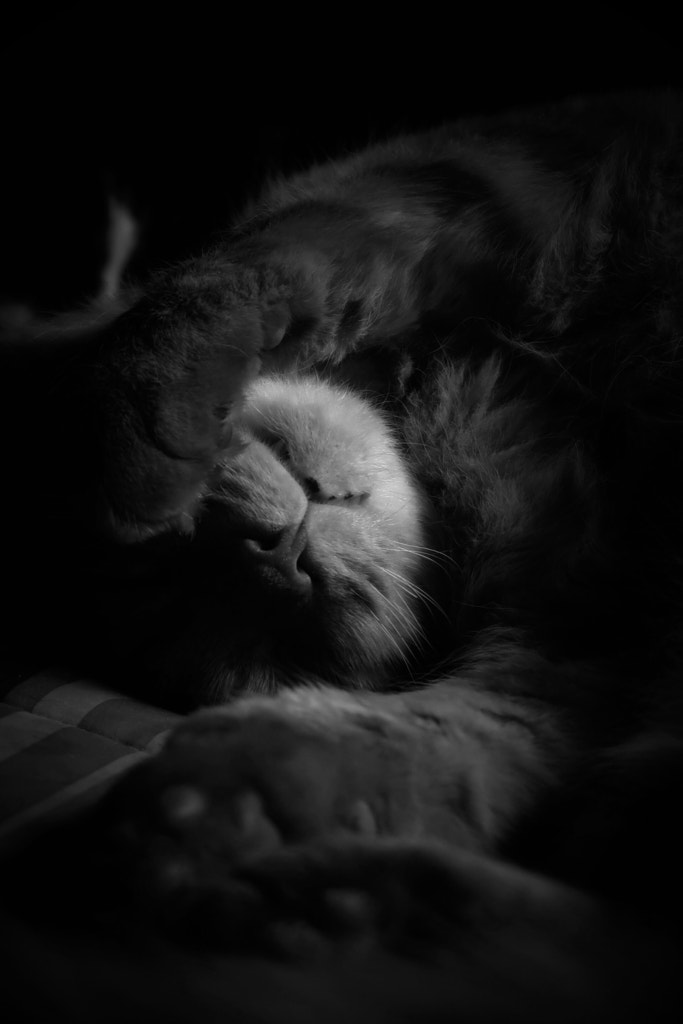 2127DDEE-B89B-4BB3-A5AC-1FB3BBE2A21D by Nicole Box / 500px