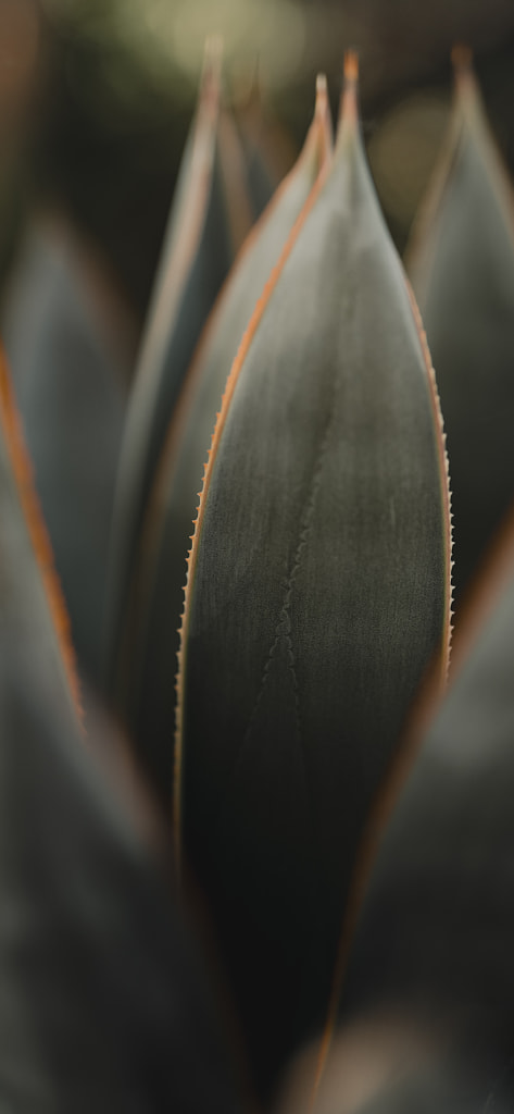 Textures Distract Me by Ammar Habib / 500px