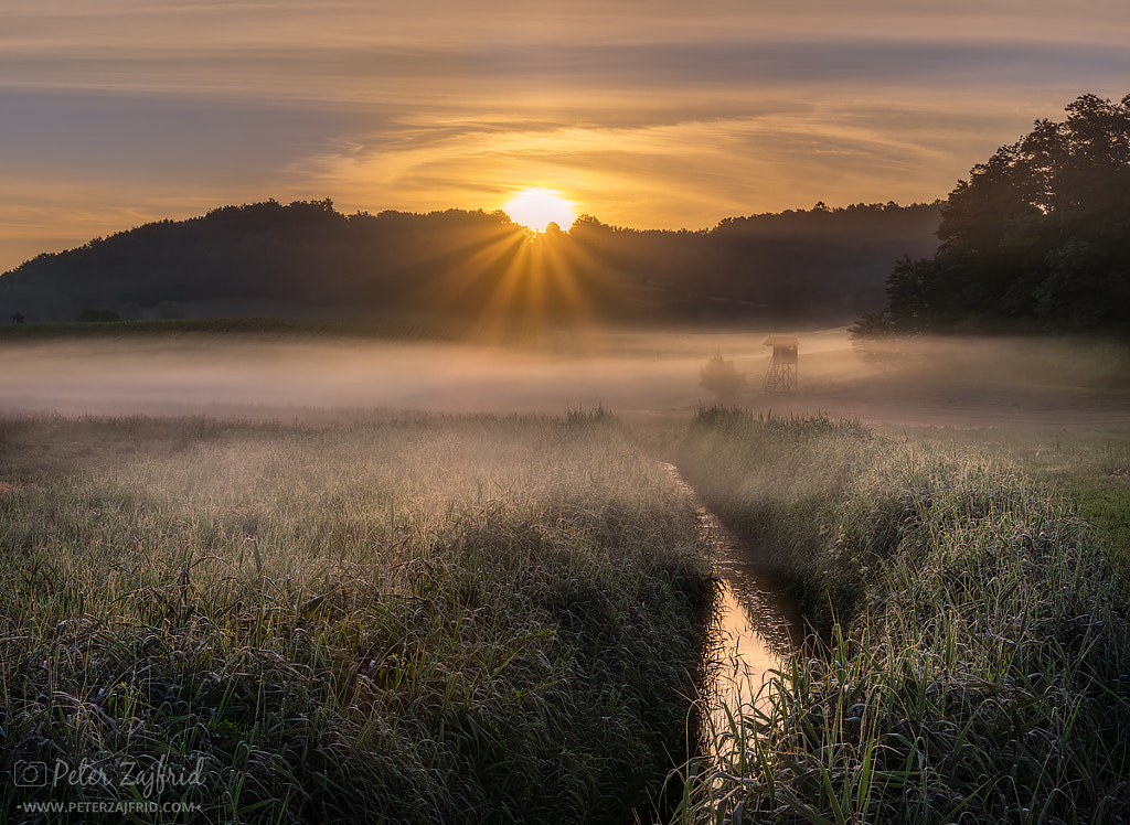 Morning mists by Peter Zajfrid / 500px